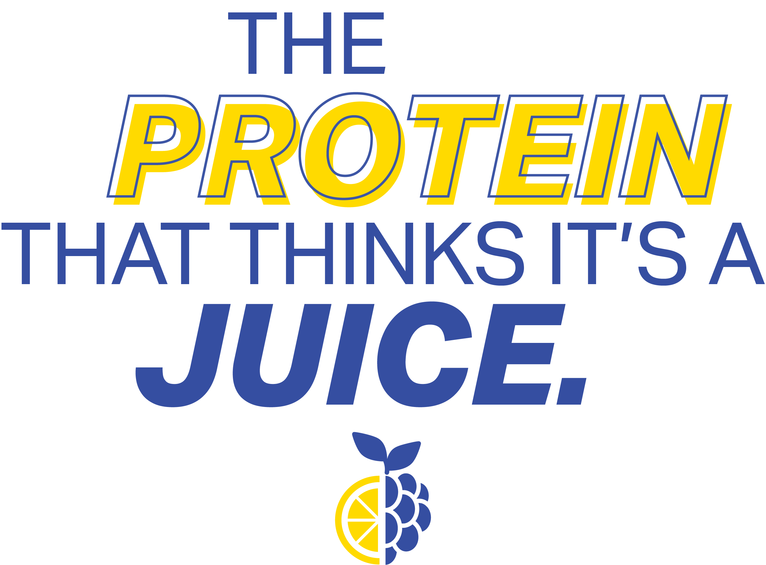 🫐🍋 Clear Protein + 🍋🫐 – RobinPackardShop